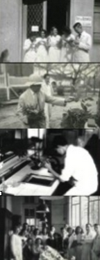 Palestra - IB | Instituto de Biociências | Universidade de São Paulo | USP